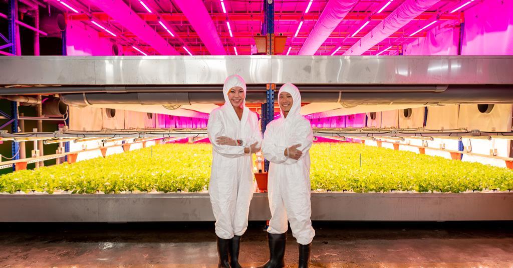 Urban Farming Partners Singapore opens first facility | Article | Fruitnet