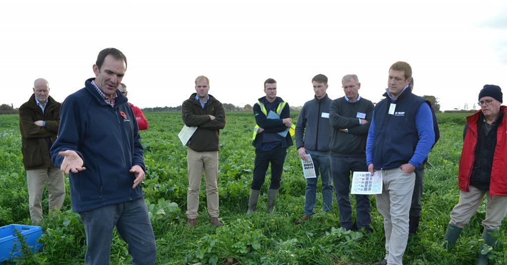 AHDB in £1m soil biology research partnership | Article | Fruitnet
