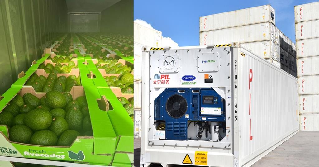 PIL delivers first avocados from Africa to Asia with EverFRESH | News | Fruitnet