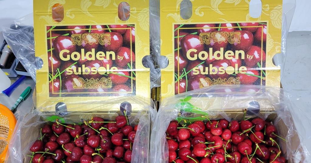 IG International welcomes first container of premium Subsole cherries to India | News | Fruitnet