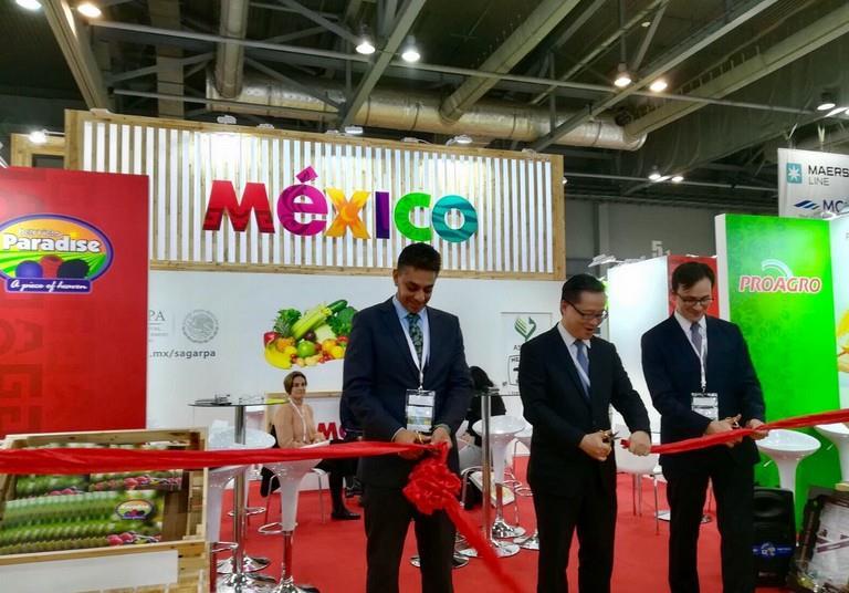 ProMexico to close overseas network | Article | Fruitnet