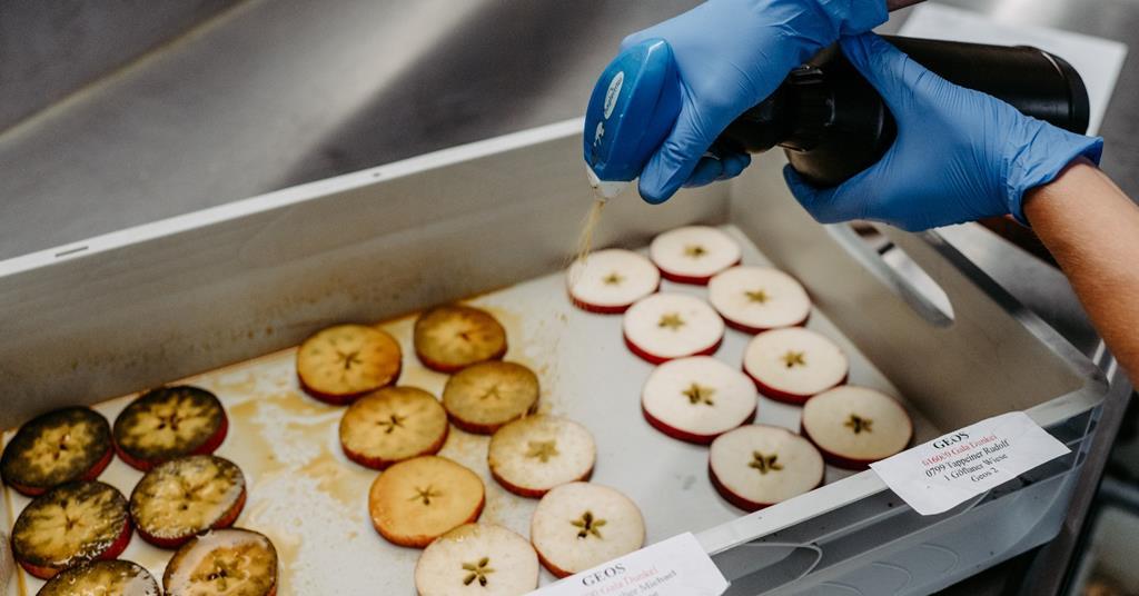 Italian apple company Vip uses AI to decide when it’s time to harvest ...