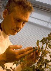 Lancaster scientists make seed breakthrough | Article | Fruitnet