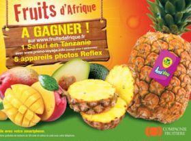 Compagnie Fruitière launches promotion | Article | Fruitnet