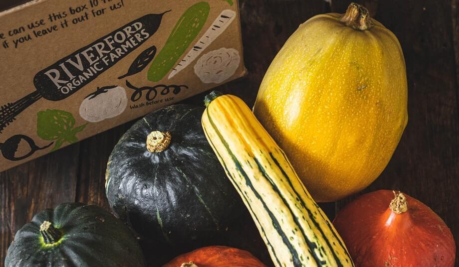 Riverford campaign urges switch from pumpkins to squash | Article ...