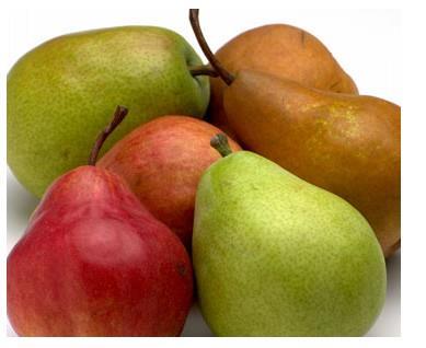 Chilean pear output to remain stable | Article | Fruitnet