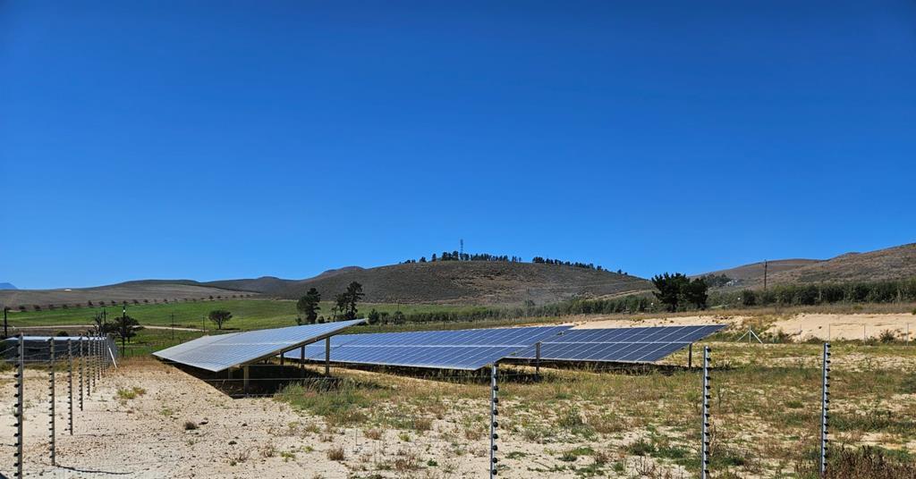 South African apple and pear growers turn to solar energy | News | Fruitnet