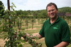 Queen honours Robert Mitchell | Article | Fruitnet