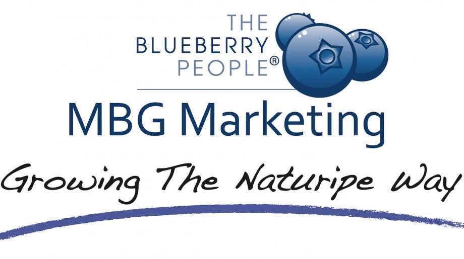 MBG Marketing goes global | Article | Fruitnet