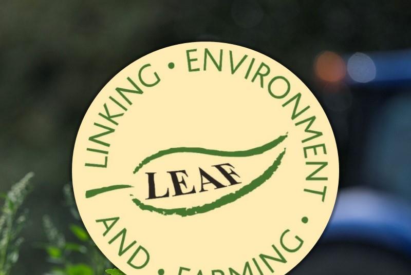 LEAF targets ‘85 per cent sustainable production' | Article | Fruitnet