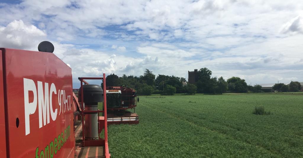 Pea week promotes provenance | Article | Fruitnet