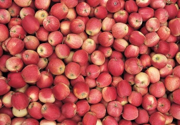UK topfruit volumes to fall below target | Article | Fruitnet