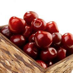 Picota cherries on course | Article | Fruitnet