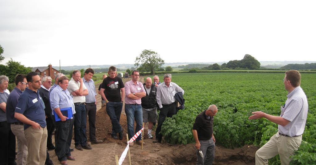 Potato growers debate the way forward | Article | Fruitnet