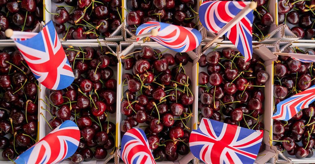 UK cherry harvest expected to reach 8,000 tonnes as Tesco commits to ...