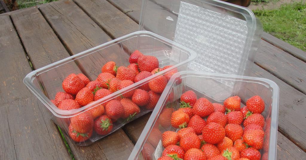 Packaging firm unveils new soft-fruit punnet range | Article | Fruitnet