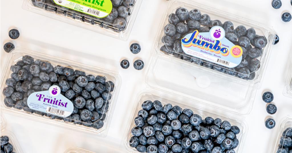 Agrovision secures its largest ever private equity investment | News ...