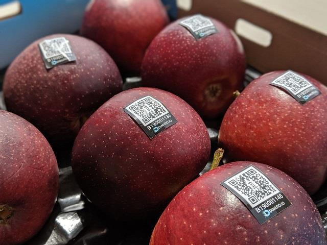 Jupiter signs blockchain agreement | Article | Fruitnet