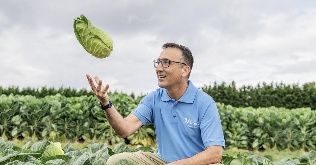 Hazera appoints new CEO | News | Fruitnet