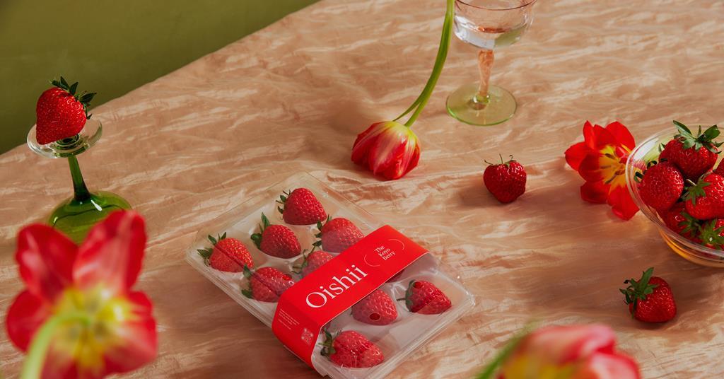 Oishii Introduces the Koyo berry | News | Fruitnet