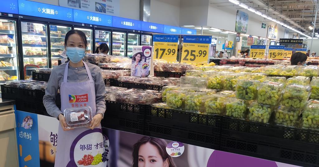 New varieties dominate Chilean table grape offering | Advertorial ...