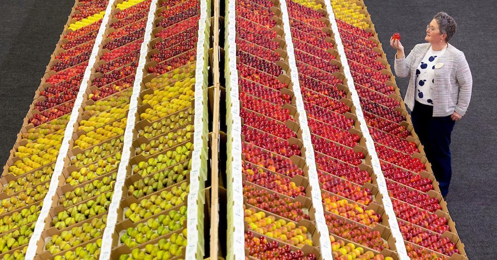 UK topfruit industry under threat | Article | Fruitnet