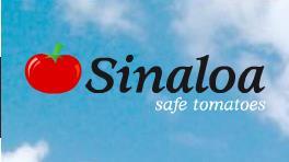 Safe Sinaloa tomato campaign launched | Article | Fruitnet