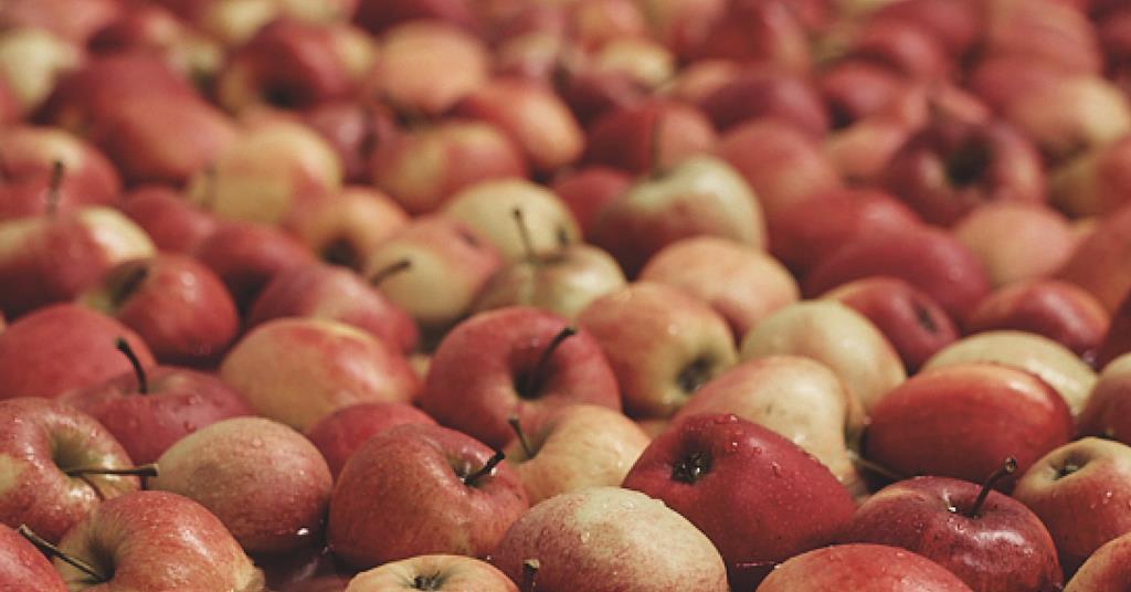 Rajpol makes a strong start to the apple season | News | Fruitnet