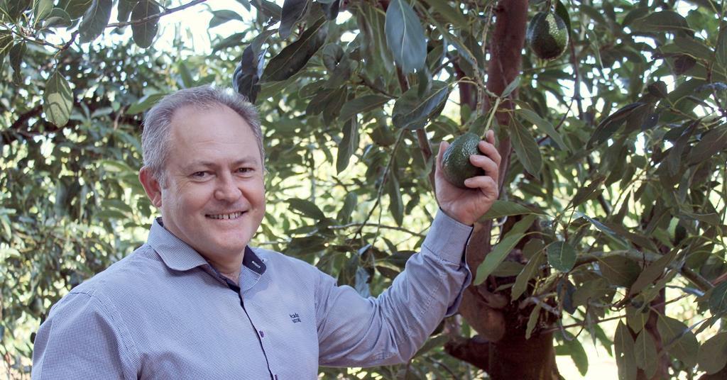 Australian avocado industry comes together for annual forum | News ...