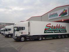 Stubbins goes to Index | Article | Fruitnet