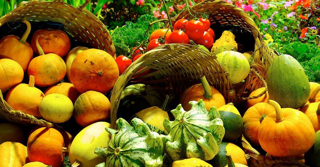Intelligent labels monitor produce | Article | Fruitnet