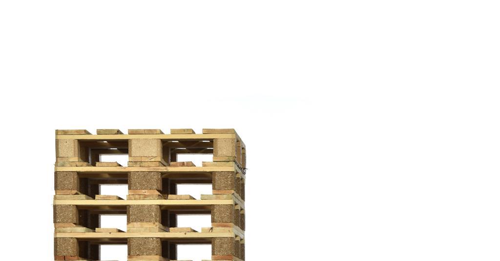 Tosca unveils 'super-pallet' NeRa | Article | Fruitnet