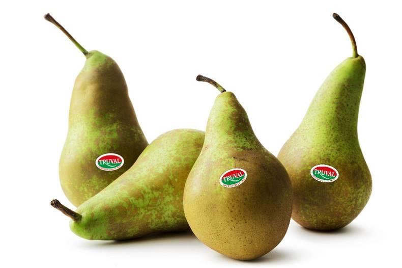 Dole and BFV celebrate the 12th anniversary of Belgian Conference pears ...