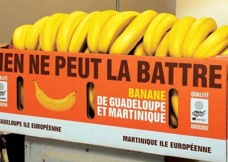 European banana producers state case | Article | Fruitnet