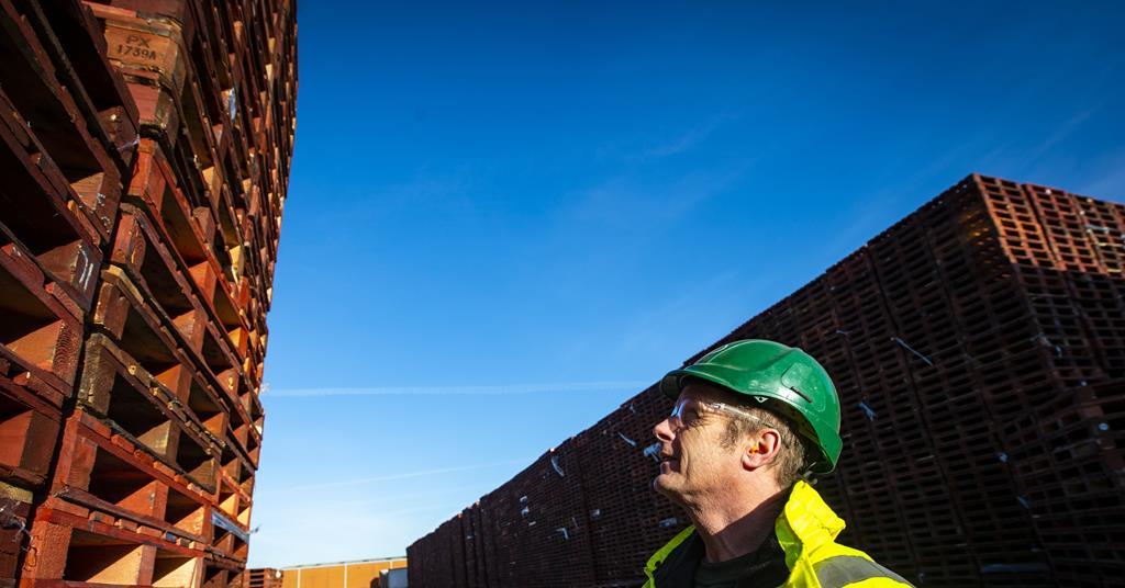 IPP launches pallet recovery drive | News | Fruitnet