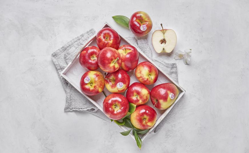Rivoira unveils Samboa extra-sweet apple brand | Article | Fruitnet