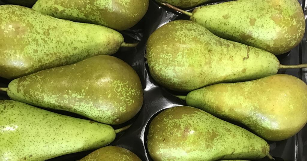 Organic growth in Dutch topfruit | Article | Fruitnet