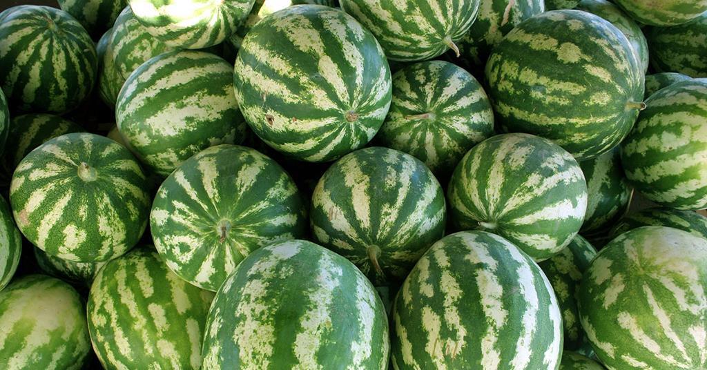 Tunisian summer fruit exports rise | Article | Fruitnet