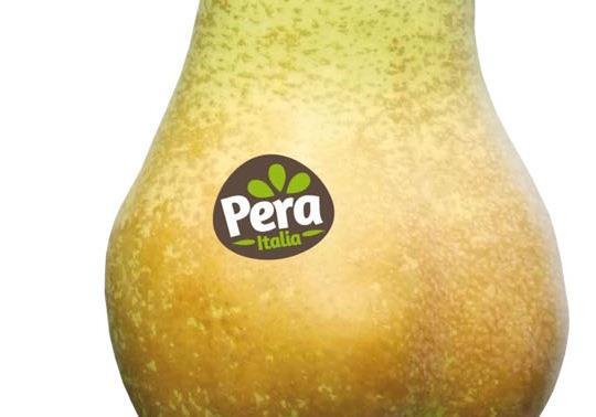 Italians unite behind new pear brand | Article | Fruitnet