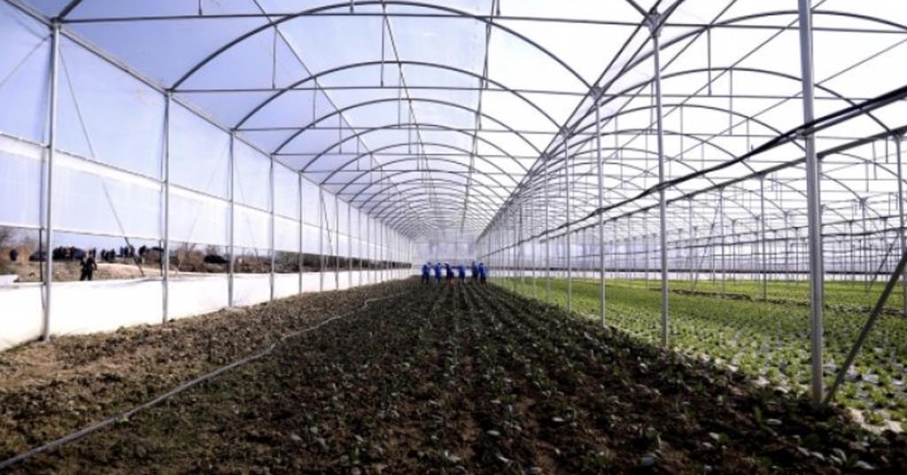 Albanian agricultural exports soar | News | Fruitnet