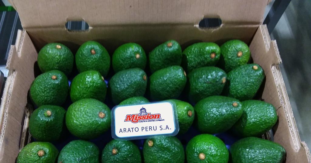 Avocado sales climb at Mission Produce | News | Fruitnet