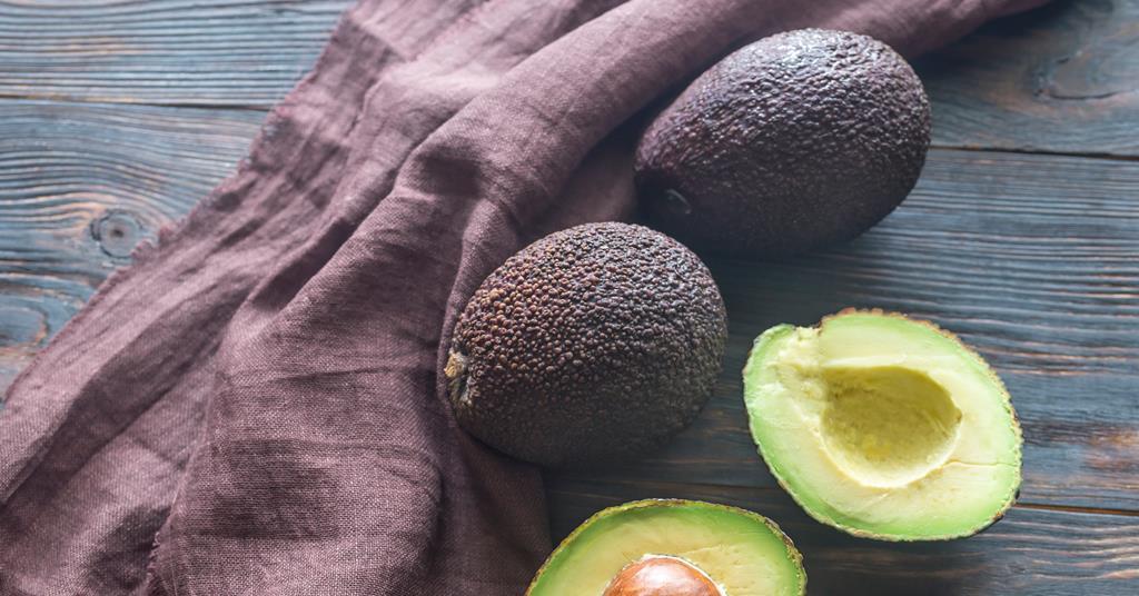 Moroccan avocado exports on the rise | News | Fruitnet