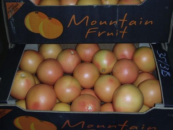 OTC USA to receive South African grapefruit | Article | Fruitnet