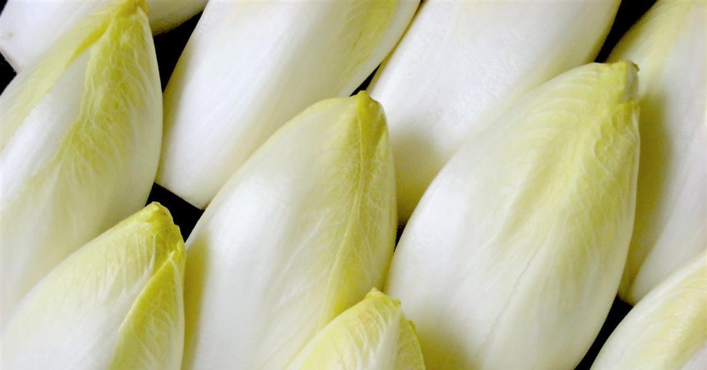 Planasa Reopens Navarra Plant After Fire Article Fruitnet