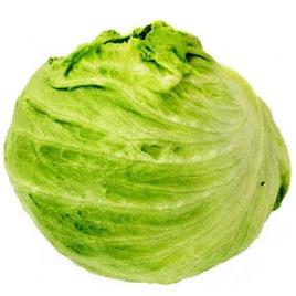 Warm winter prompts fall in Spanish iceberg output | Article | Fruitnet
