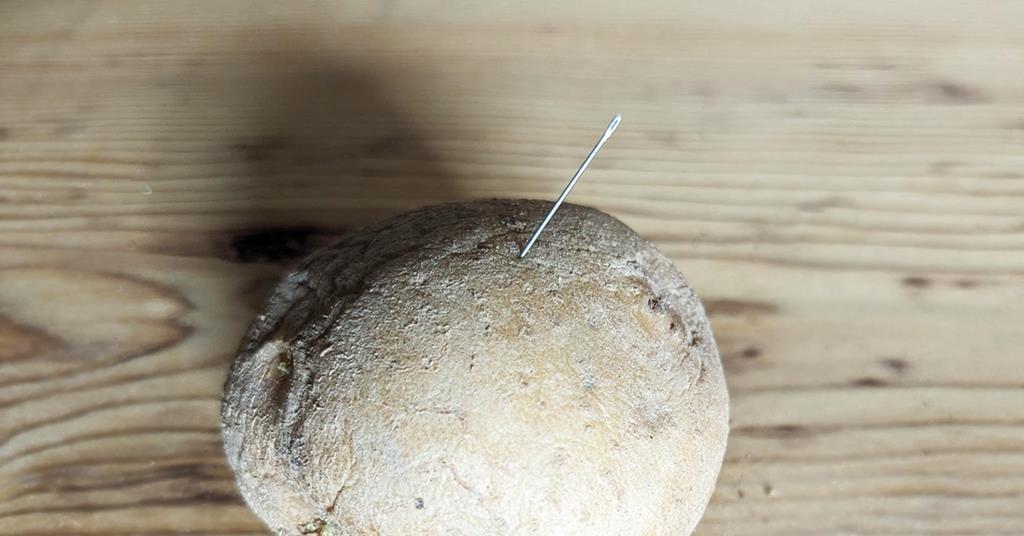Fortress helps farmers find needle in potato sack | News | Fruitnet
