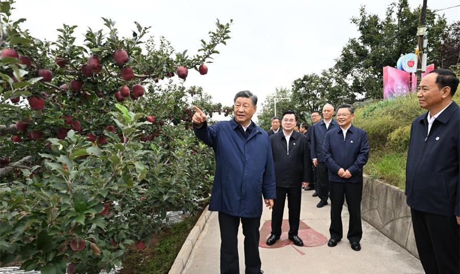 Xi Jinping highlights apple export growth in Gansu, China | News | Fruitnet