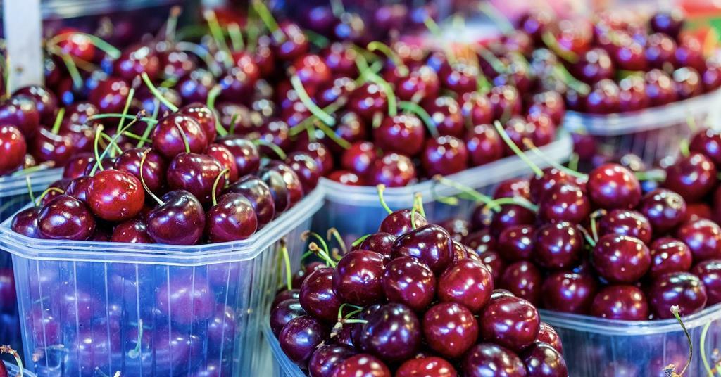 Spanish cherry exports surge 11 per cent to 43,604 tonnes as value ...