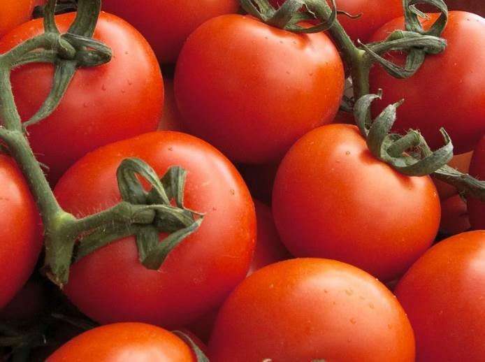 Murcia to develop native tomatoes | Article | Fruitnet