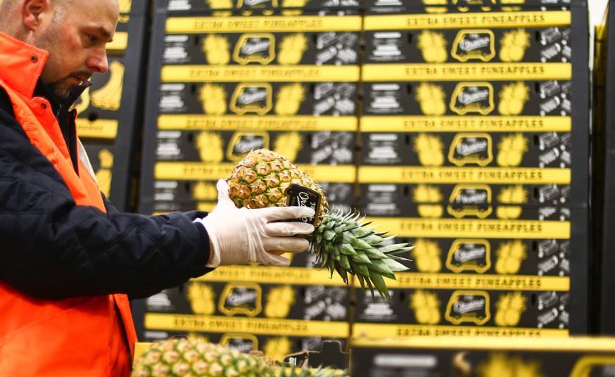 Orsero sees strong year ahead | Article | Fruitnet